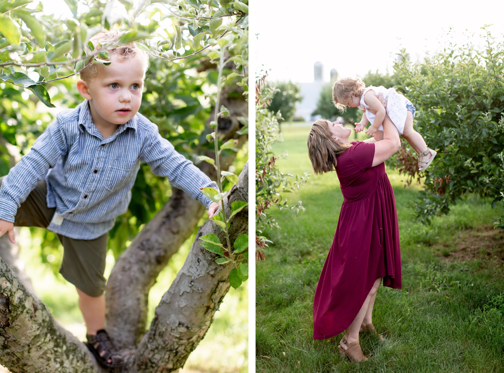 Too Much + Grace - Di Images LLC