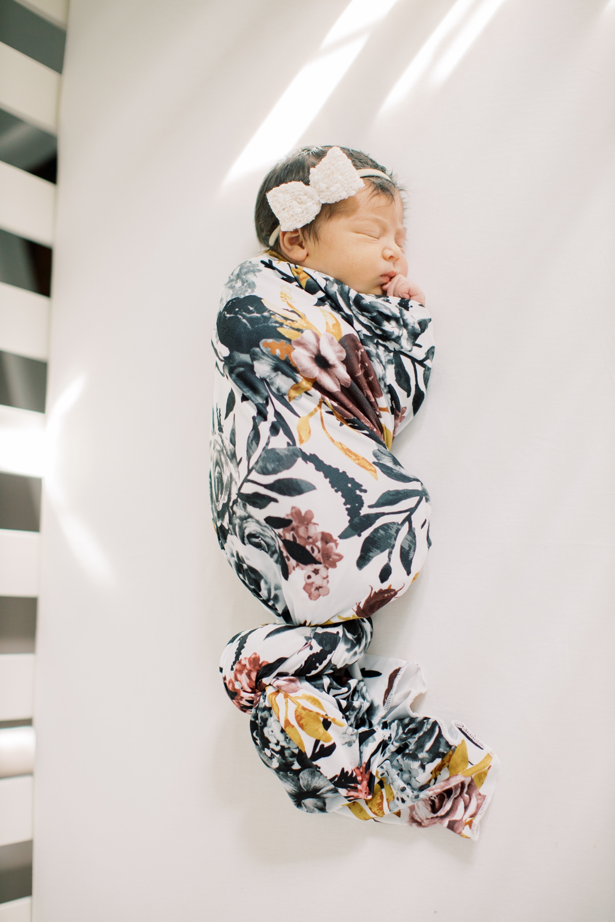 Baby Girl - Di Images LLC