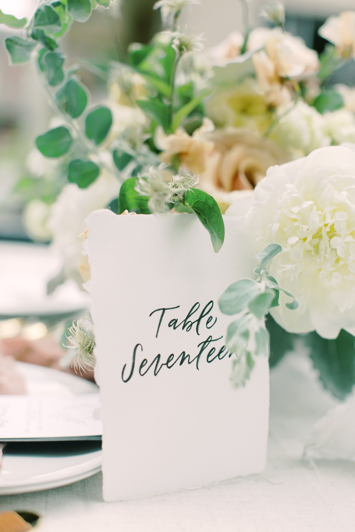 Caitlin Jane Calligraphy - Di Images LLC