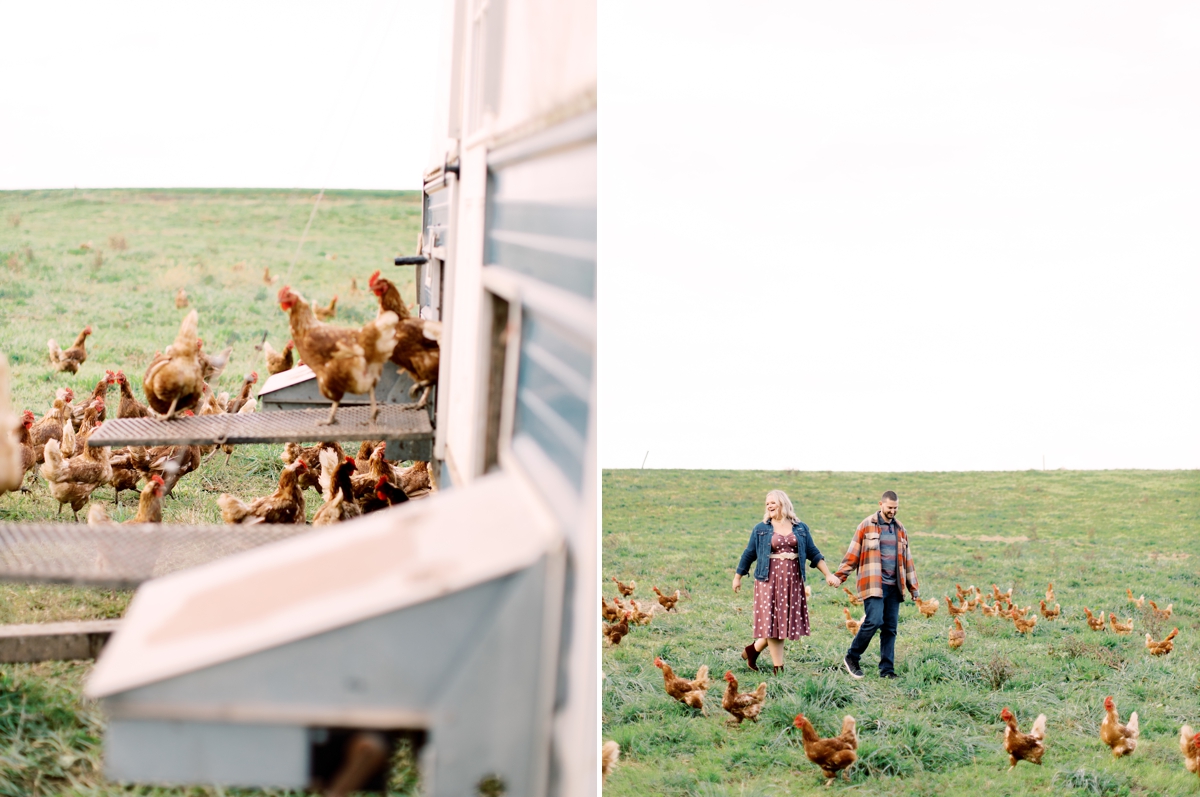 Daniel + Whitney : A Farmyard Engagement | DiImages