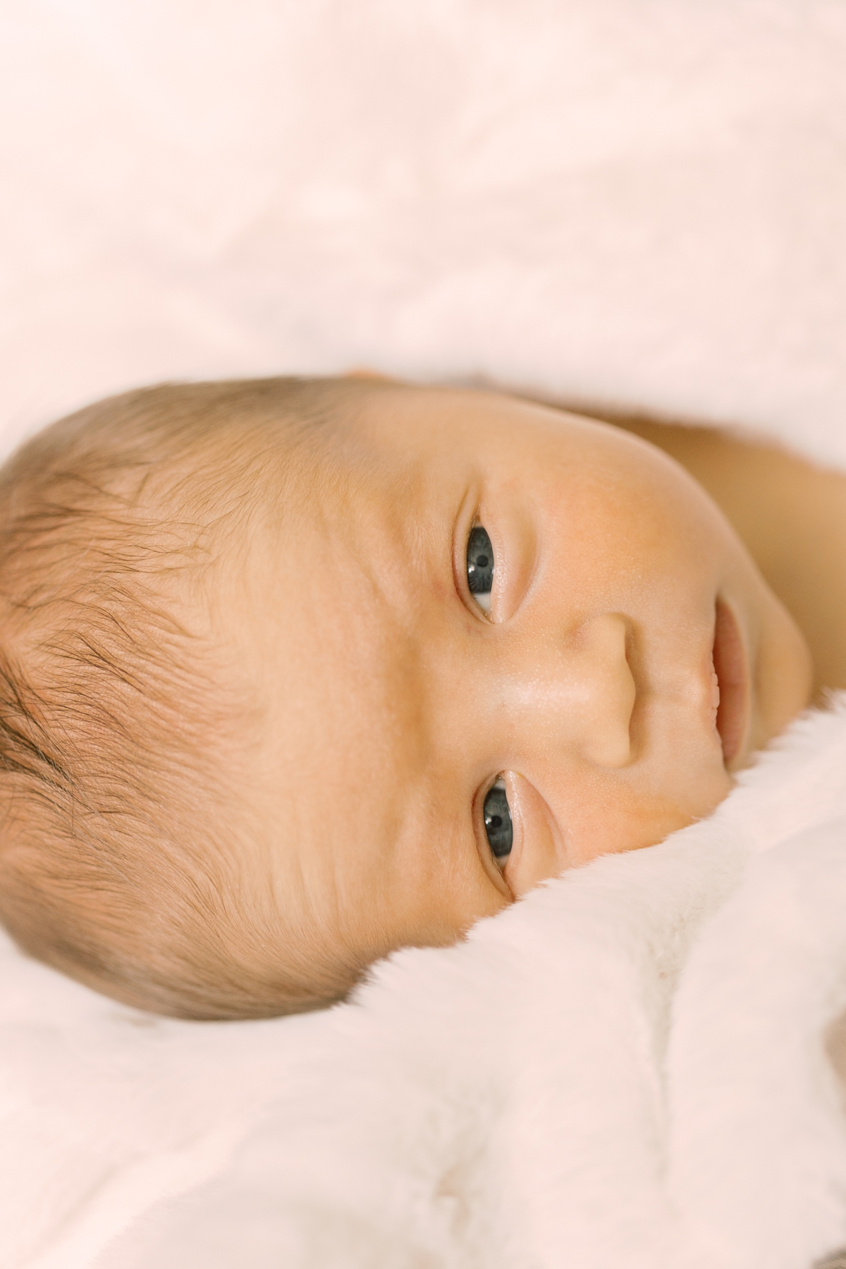 Baby Roman | DiImages